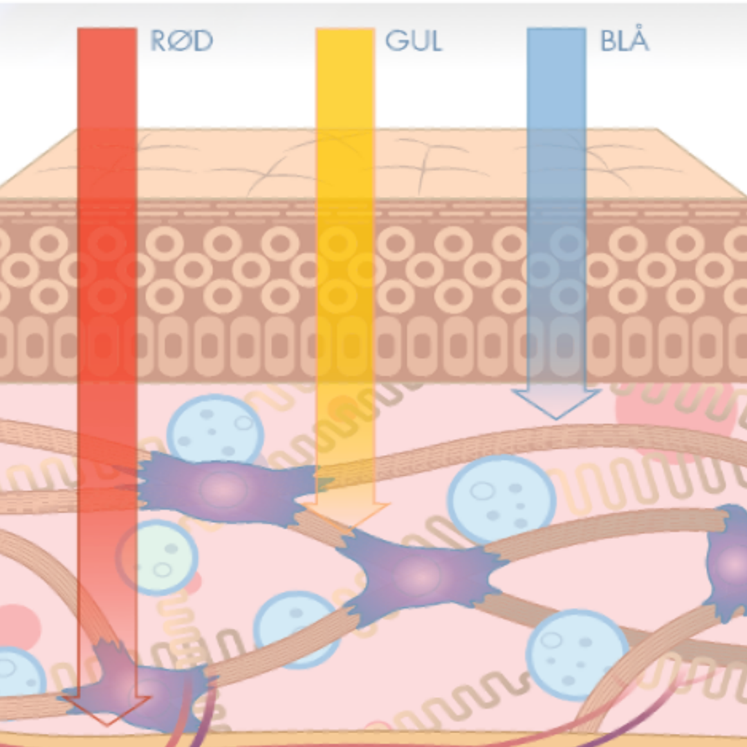 Læs mere | Akupunktur & Kranio Sakral Terapi